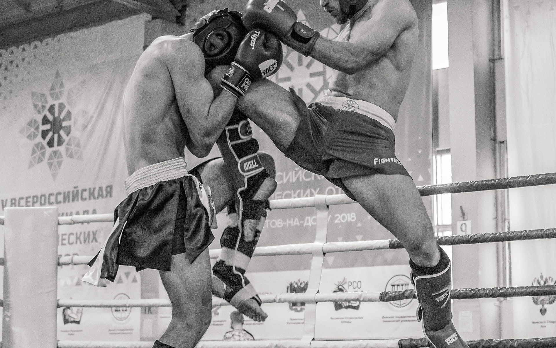 How to Increase Knee Striking Power? - MMAsmart