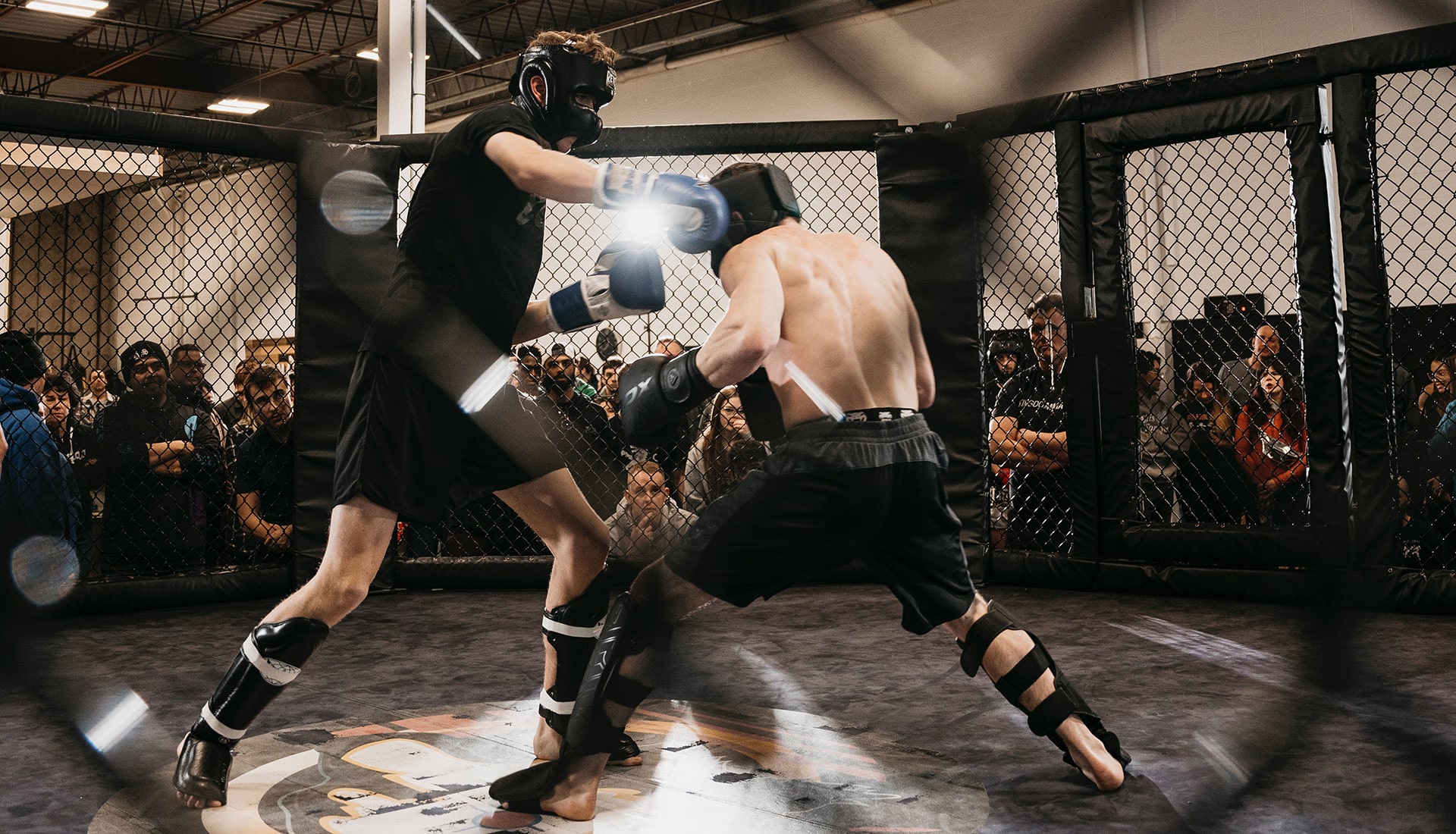 6 Biggest MMA Promotions in History - MMAsmart